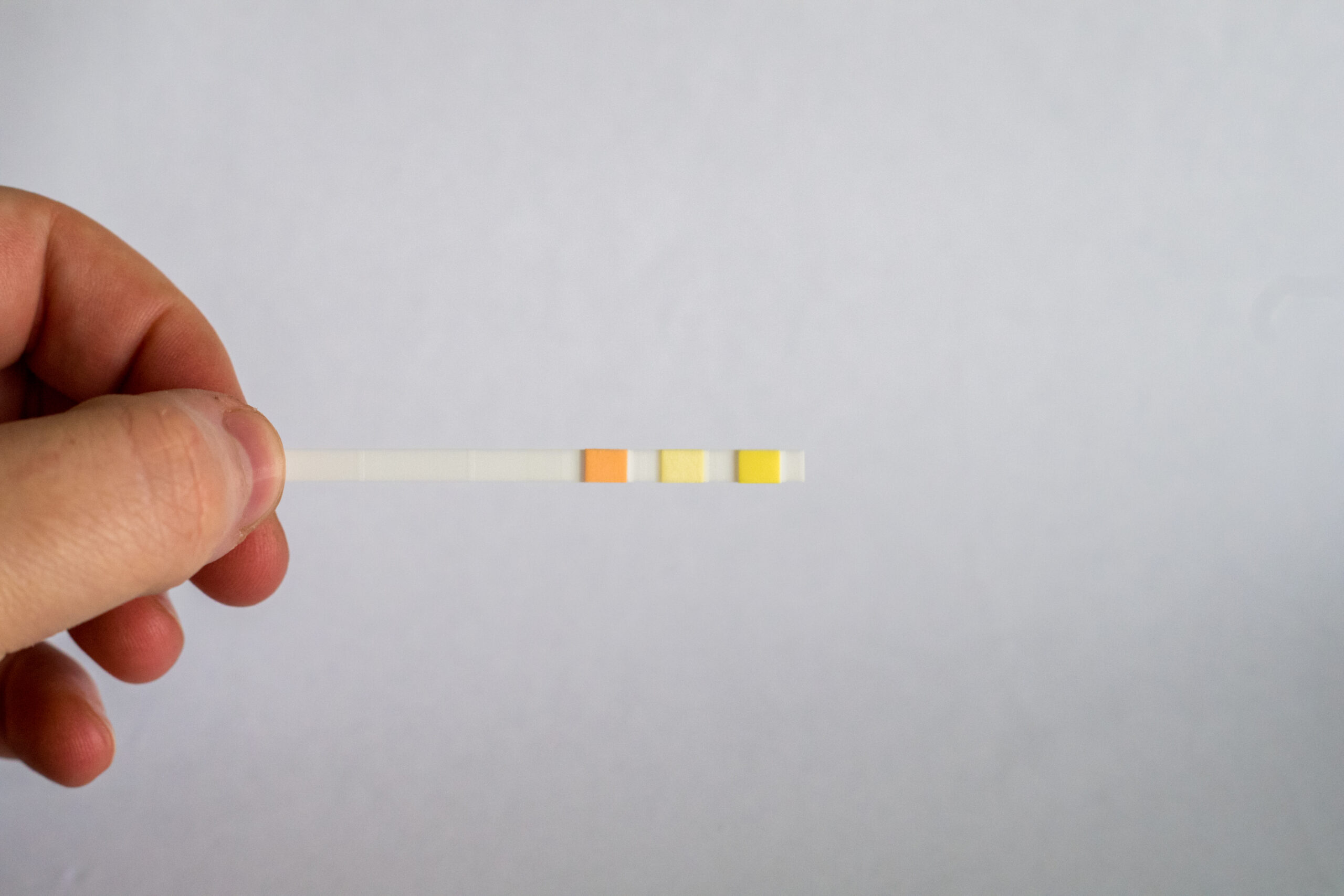 Le diabète chez les hérissons et les tenrecs » The Hedgehog Program