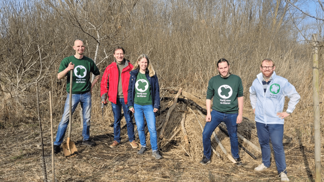 Krimpvarkkoepel by die Jagersveld Pluktuin in Zaanstad » The Hedgehog ...